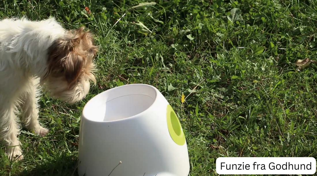 Funzie™ - Automatisk ballkaster til hund – GodHund